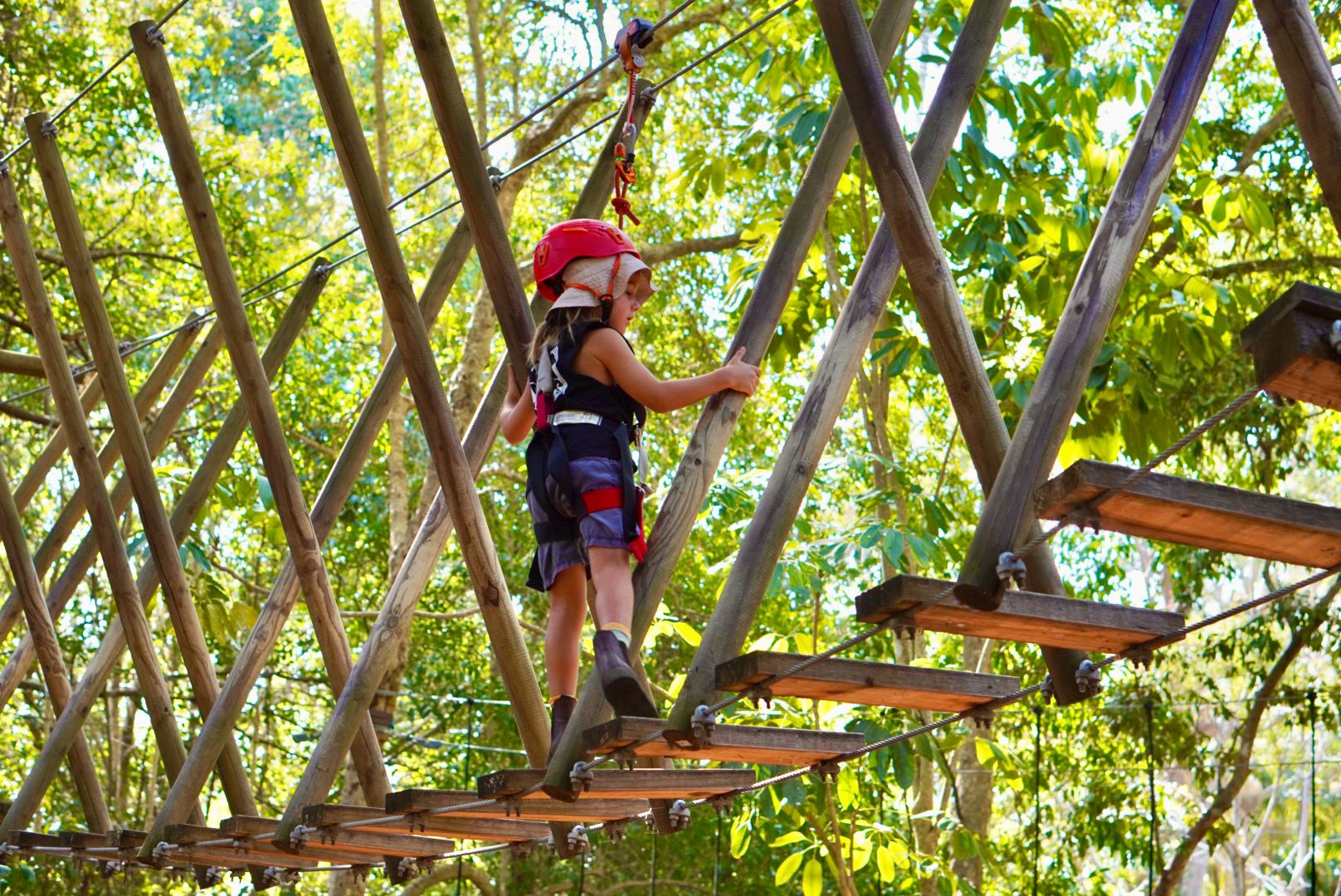 10 Reasons To Visit Thunderbird Park! | Cedar Creek Lodges