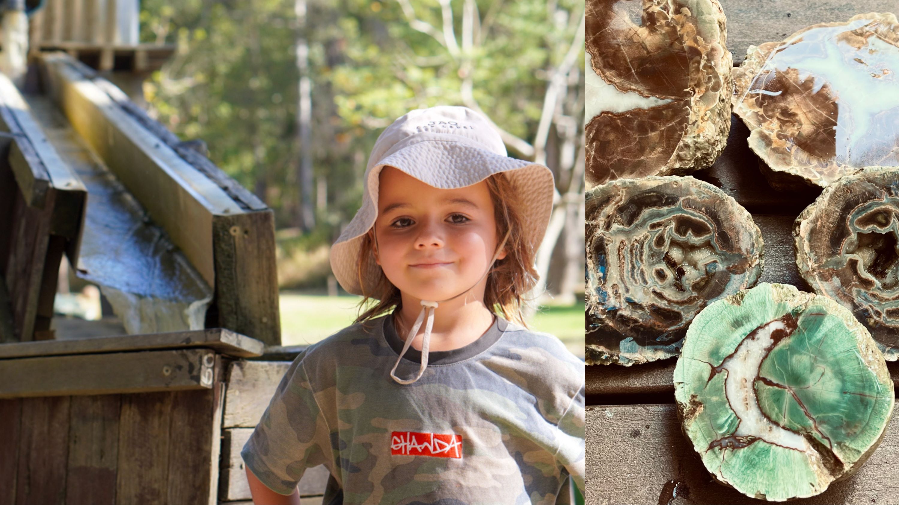 10 Reasons To Visit Thunderbird Park! | Cedar Creek Lodges